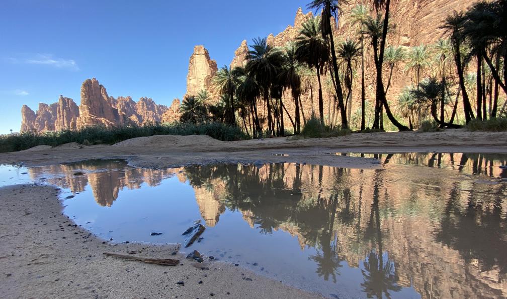 Découverte de l'arabie saoudite - De Médine à Al'Ula, voyage au Royaume ...