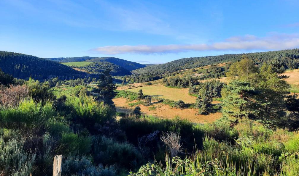 Trail chemin de stevenson - Stevenson express : l'intégrale en rando ...