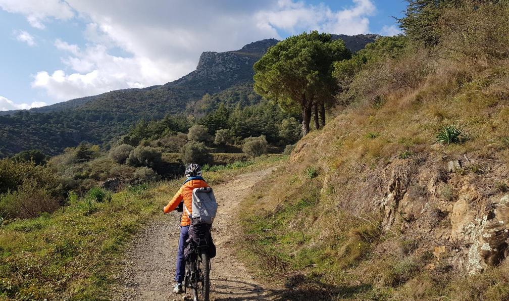 La côte catalane de collioure à rosés à vélo - La côte catalane de ...