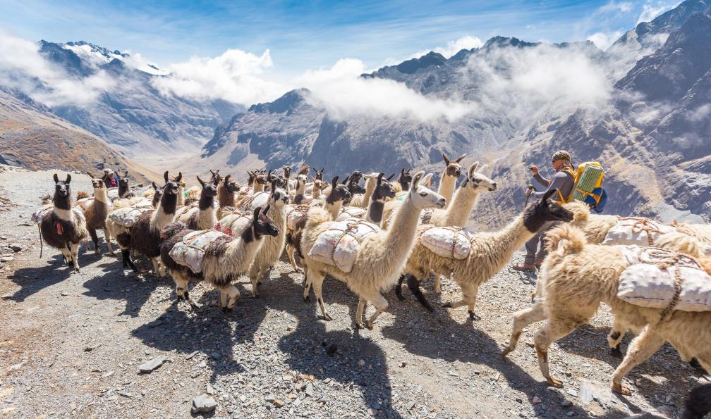 Randonnée canyon de colca et lac titicaca - Inca Colca - Randonnée ...