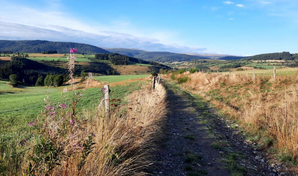 Chemins de stevenson - Chemin de Stevenson sud : du Gévaudan aux ...