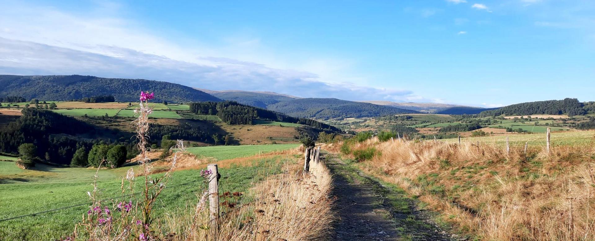 Chemins de stevenson - Chemin de Stevenson sud : du Gévaudan aux ...