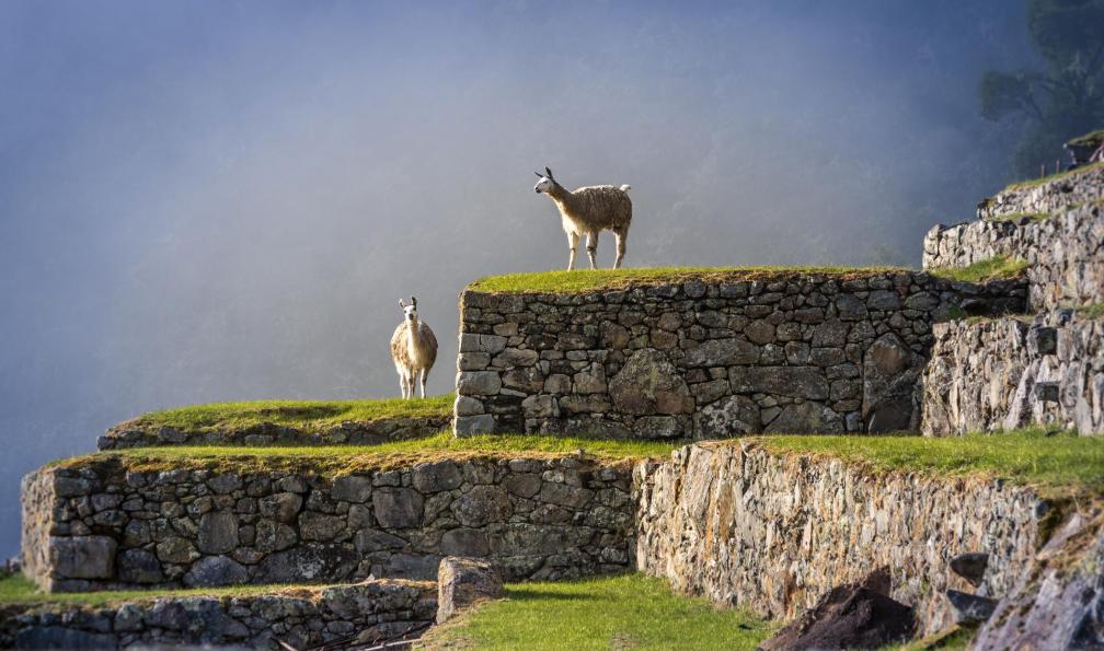 Voyage sur mesure - Merveilles du Pérou - Découverte - Pérou - Allibert ...