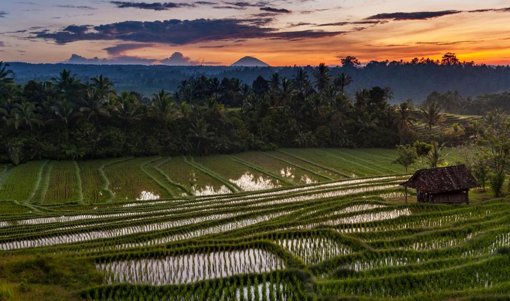 Voyage découverte bali et nusa pénida - Bali et Nusa Penida ...