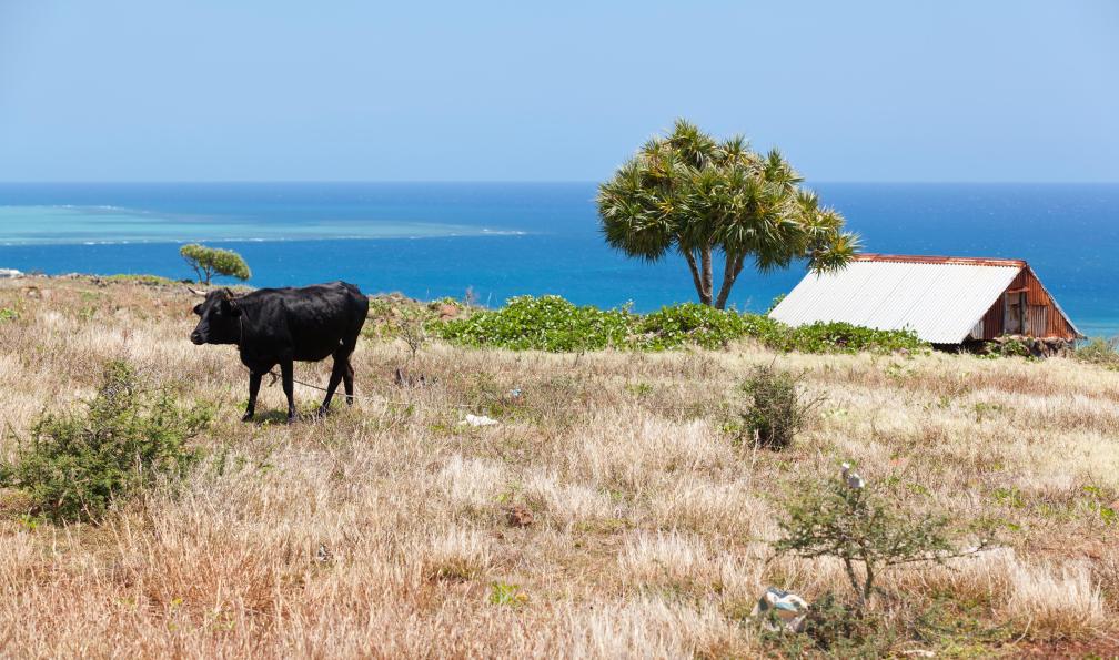 Rodrigues, paradis emeraude - Rodrigues, paradis Emeraude - Randonnée ...