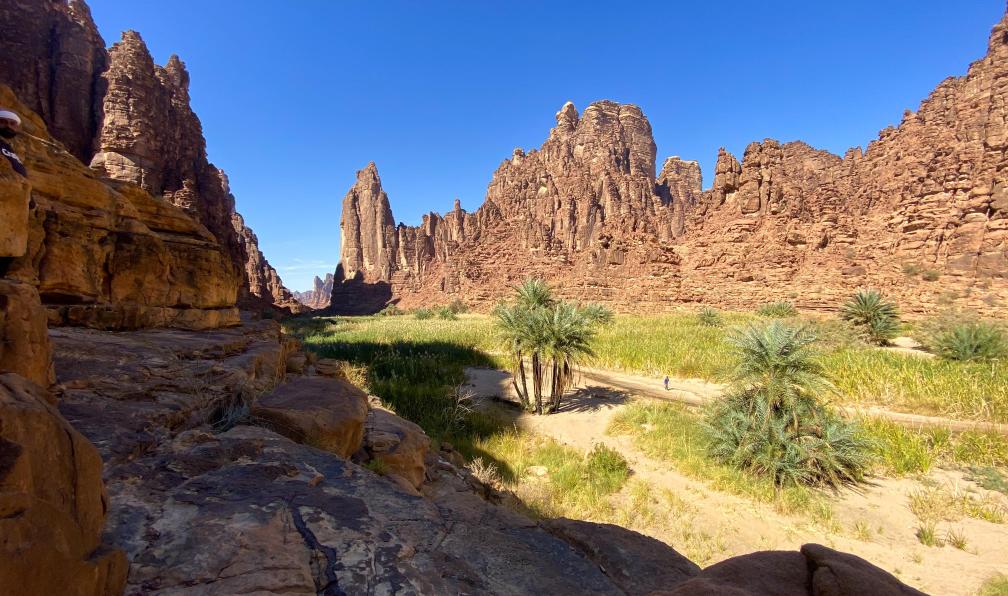 Découverte de l'arabie saoudite - De Médine à Al'Ula, voyage au Royaume ...