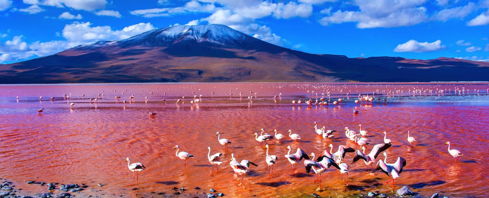 Voyage pérou bolivie chili - La grande traversée: Machu Picchu, Uyuni ...