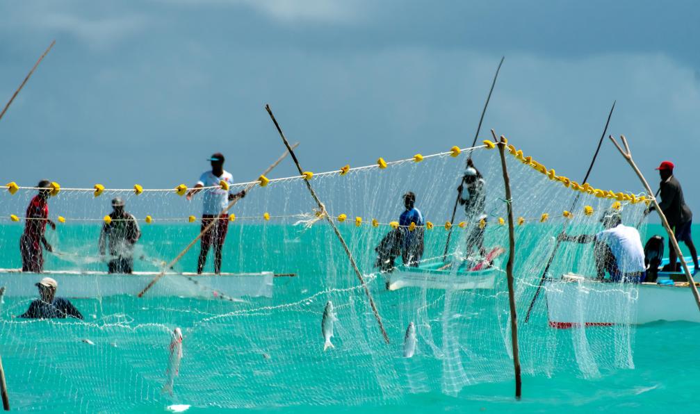Rodrigues, paradis emeraude - Rodrigues, paradis Emeraude - Randonnée ...