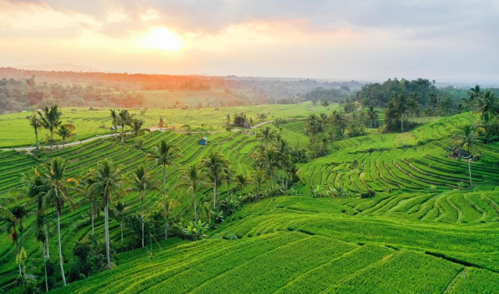 Bali et îles komodo - Voyage à Bali en étoile - Découverte - Indonésie ...