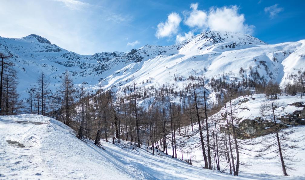 Ski de rando col du simplon - Ski de rando au col du Simplon - Ski de ...