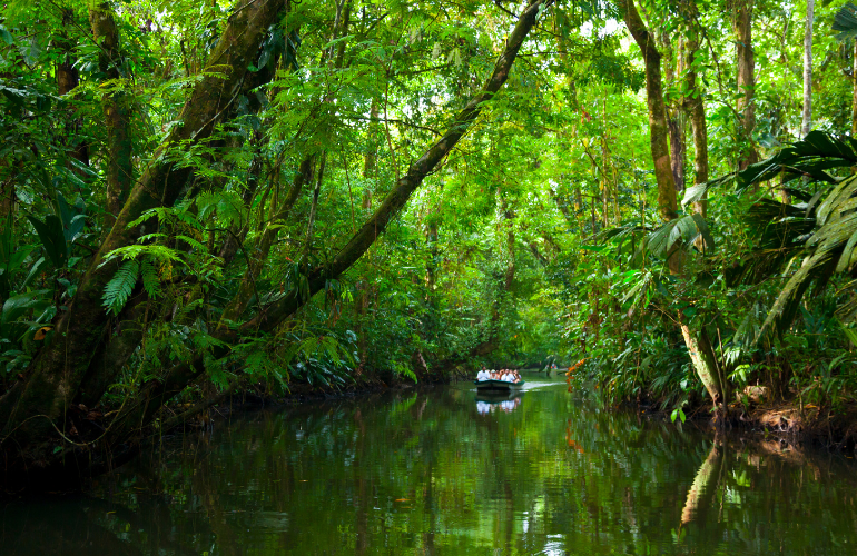 Costa Rica - 5 parcs nationaux incontournables - Allibert Trekking