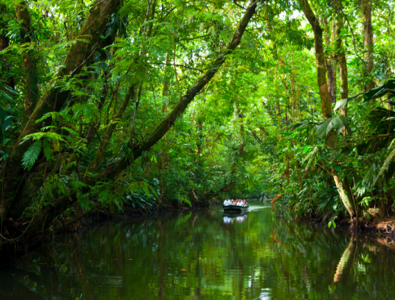 Voyage au Costa Rica : treks et randonnées au Costa Rica - Allibert ...