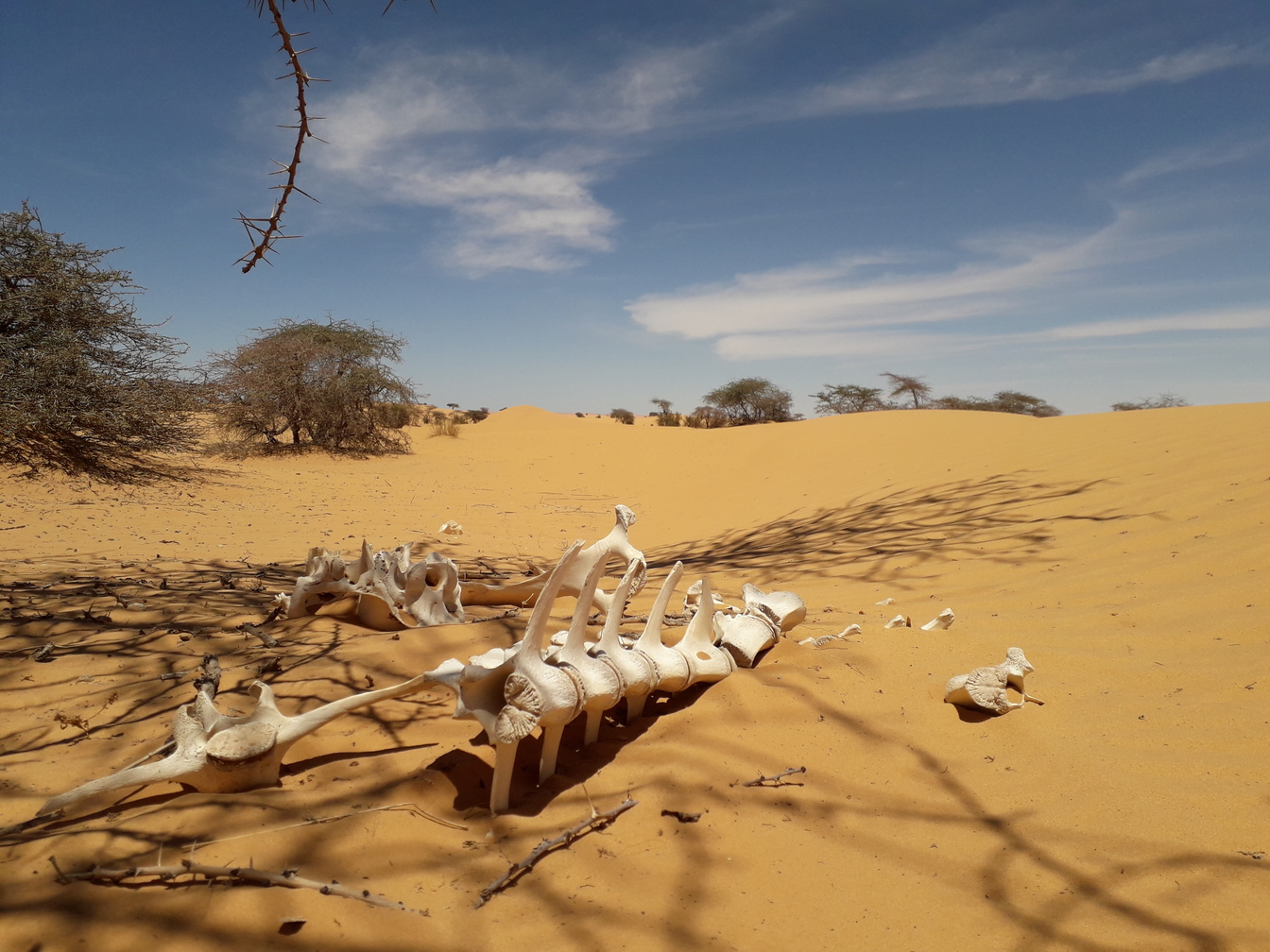 De ouadane a chinguetti - L'odyssée des sables : de Ouadane à ...