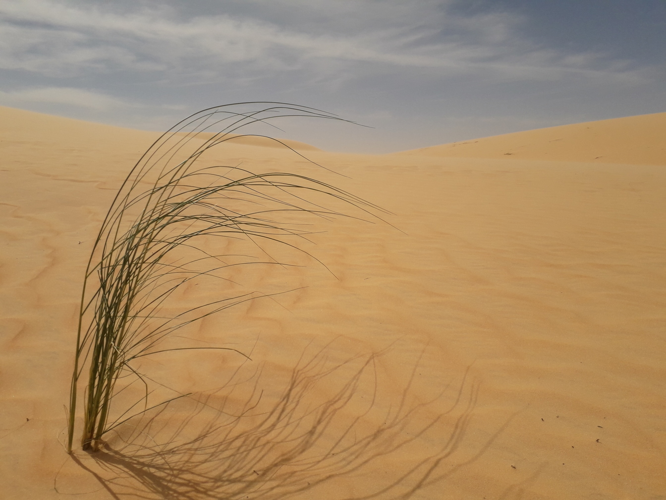 De ouadane a chinguetti - L'odyssée des sables : de Ouadane à ...