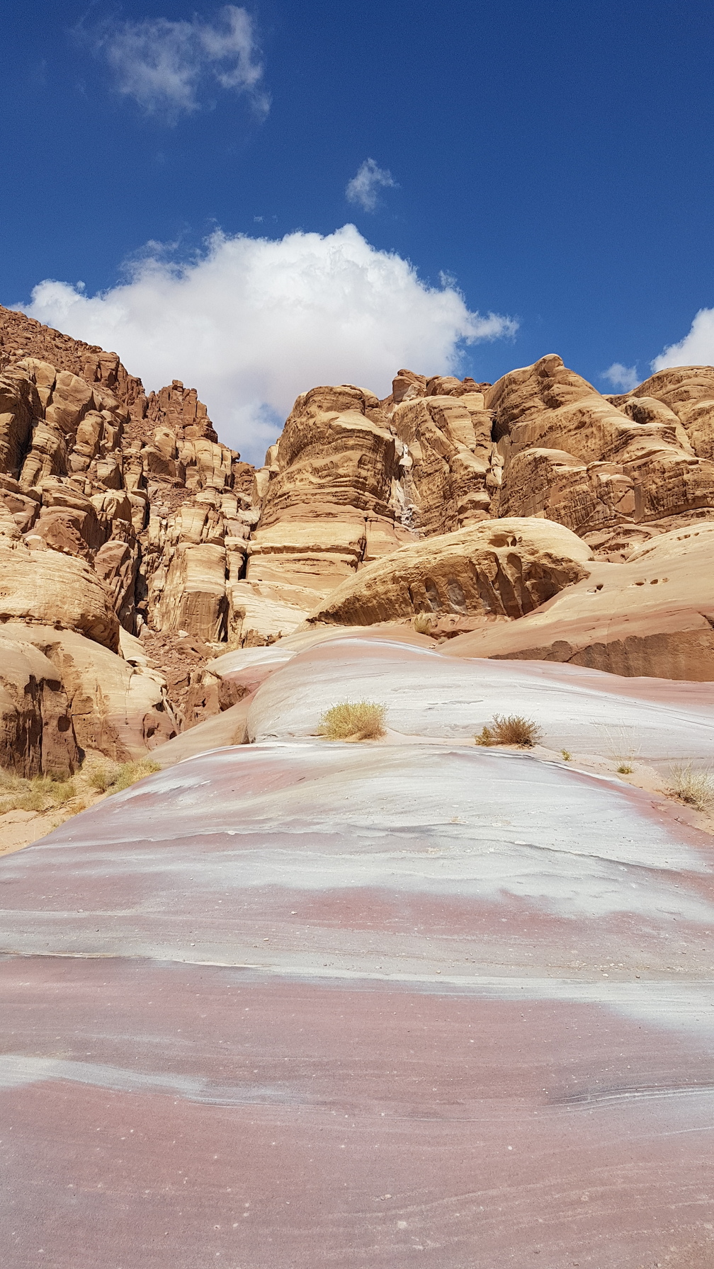 Jordanie avec enfants - À la fois Rois et Bédouins du désert ...