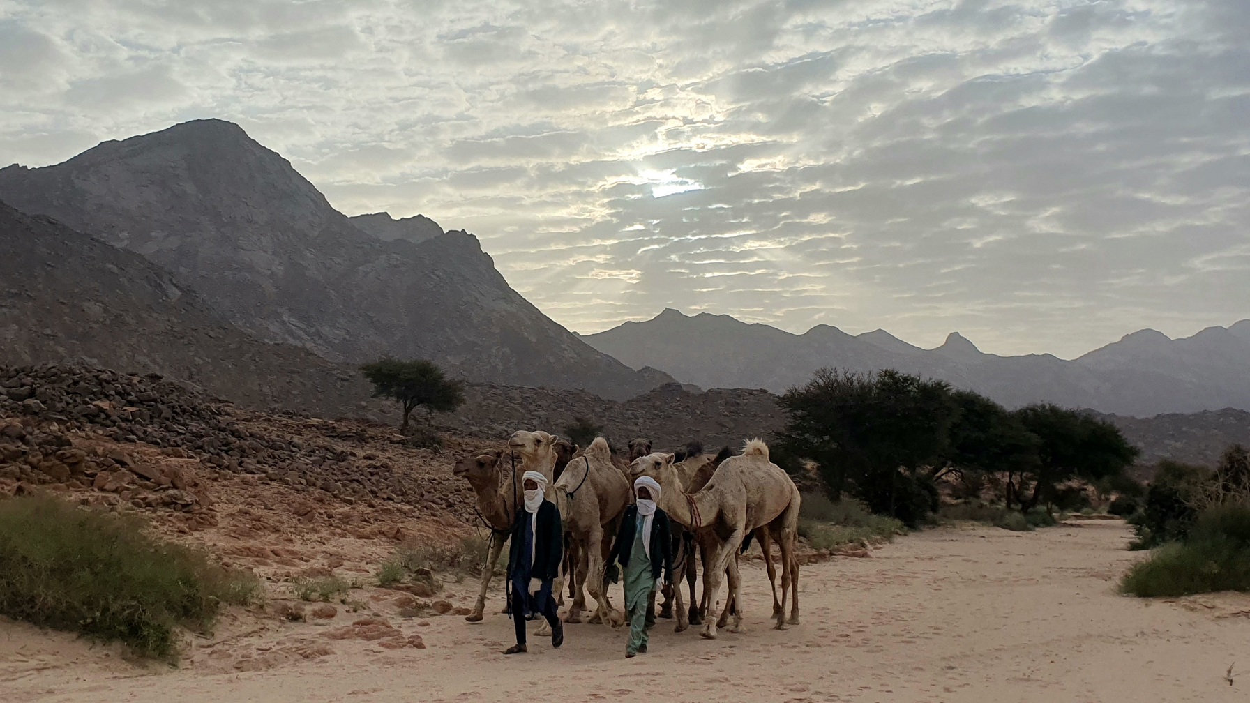 Grande traversée tefedest et garet el djenoun - Grande traversée ...