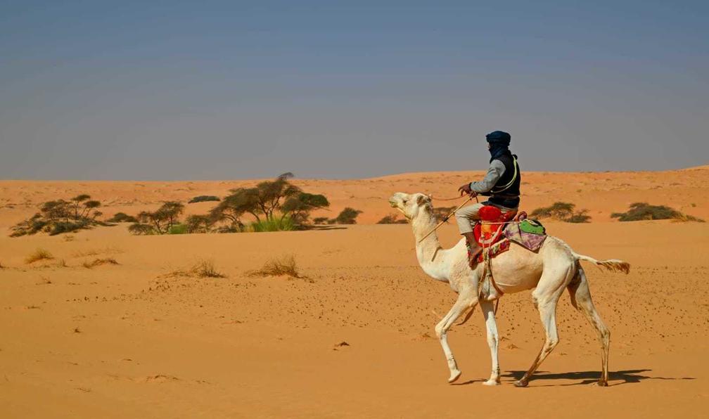 De ouadane a chinguetti - De l'Oeil de l'Afrique à la mythique ...
