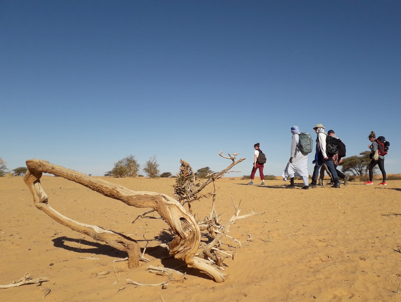 De ouadane a chinguetti - L'odyssée des sables : de Ouadane à ...