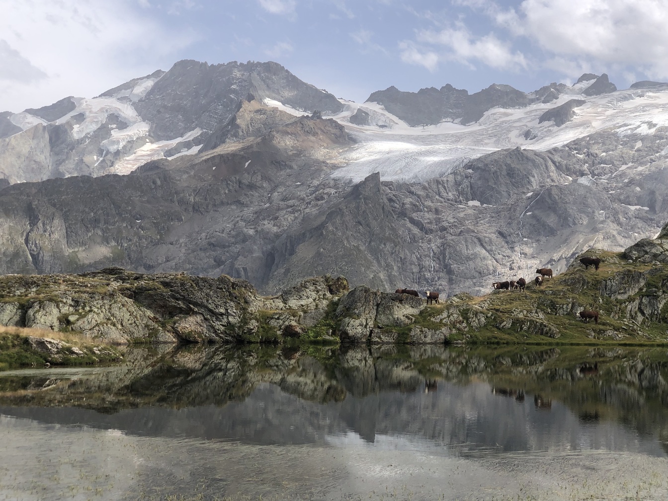 Randonnée plateau d'emparis - Les panoramas de la Meije - Randonnée ...