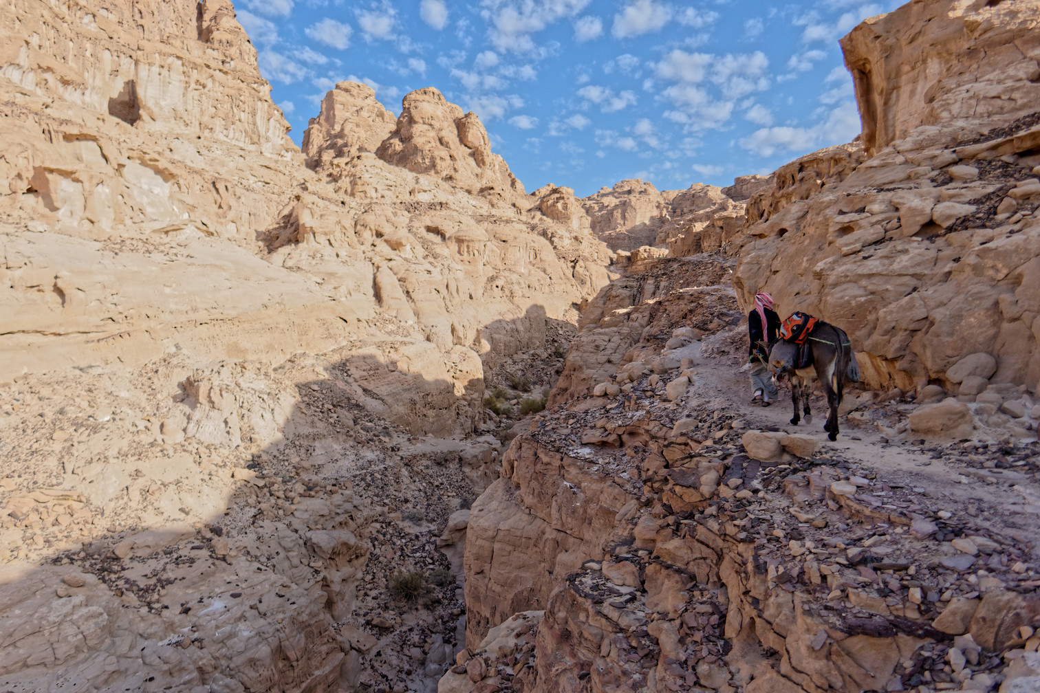 Tour jordanie - Du wadi Rum à Pétra par la vallée arc-en-ciel ...