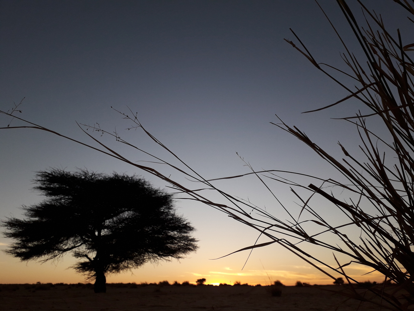 De ouadane a chinguetti - L'odyssée des sables : de Ouadane à ...