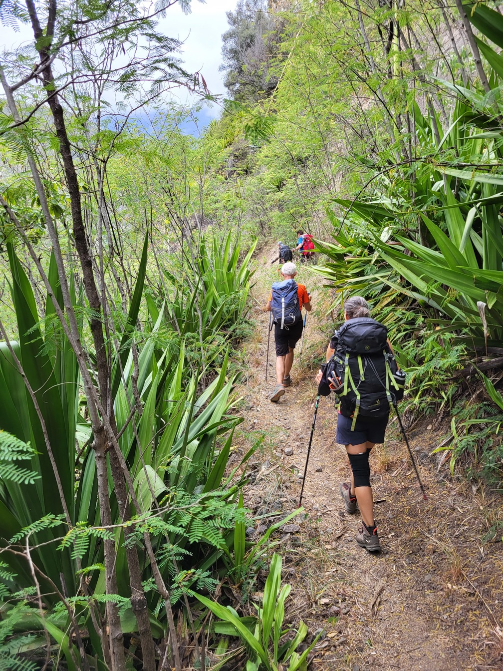 Trek réunion - L'île aux trésors - Trekking - La Réunion - Allibert ...