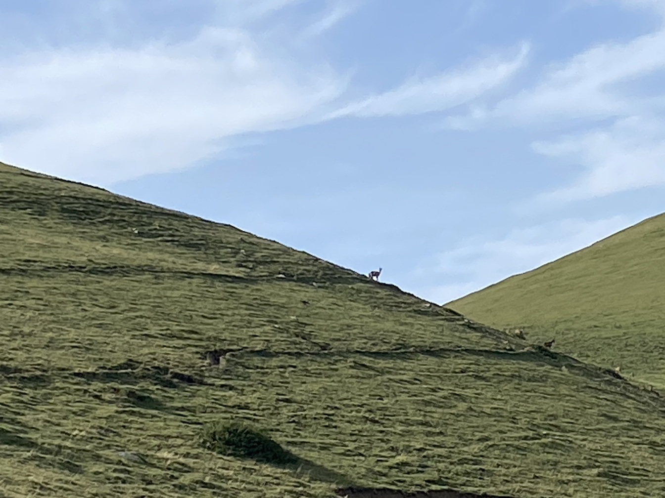 Randonnée pays basque - Le Pays Basque secret - Randonnée - France ...