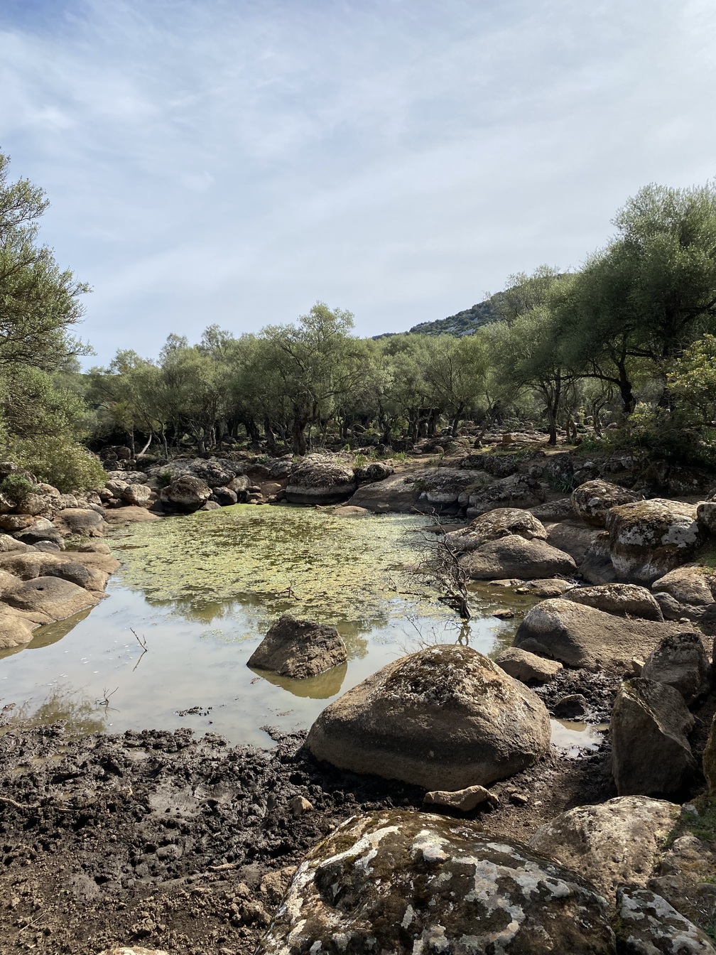 Trek sardaigne - Le trek du Selvaggio Blu - Randonnée - Italie ...