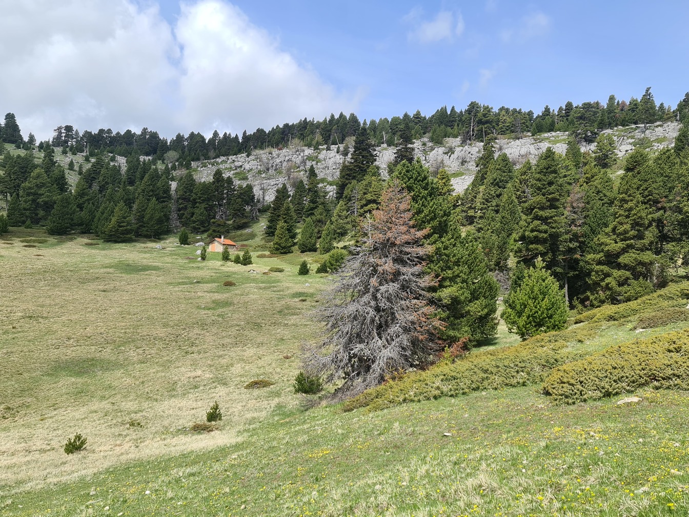 Randonnée vercors et diois - Merveilles du Diois, entre Vercors et ...