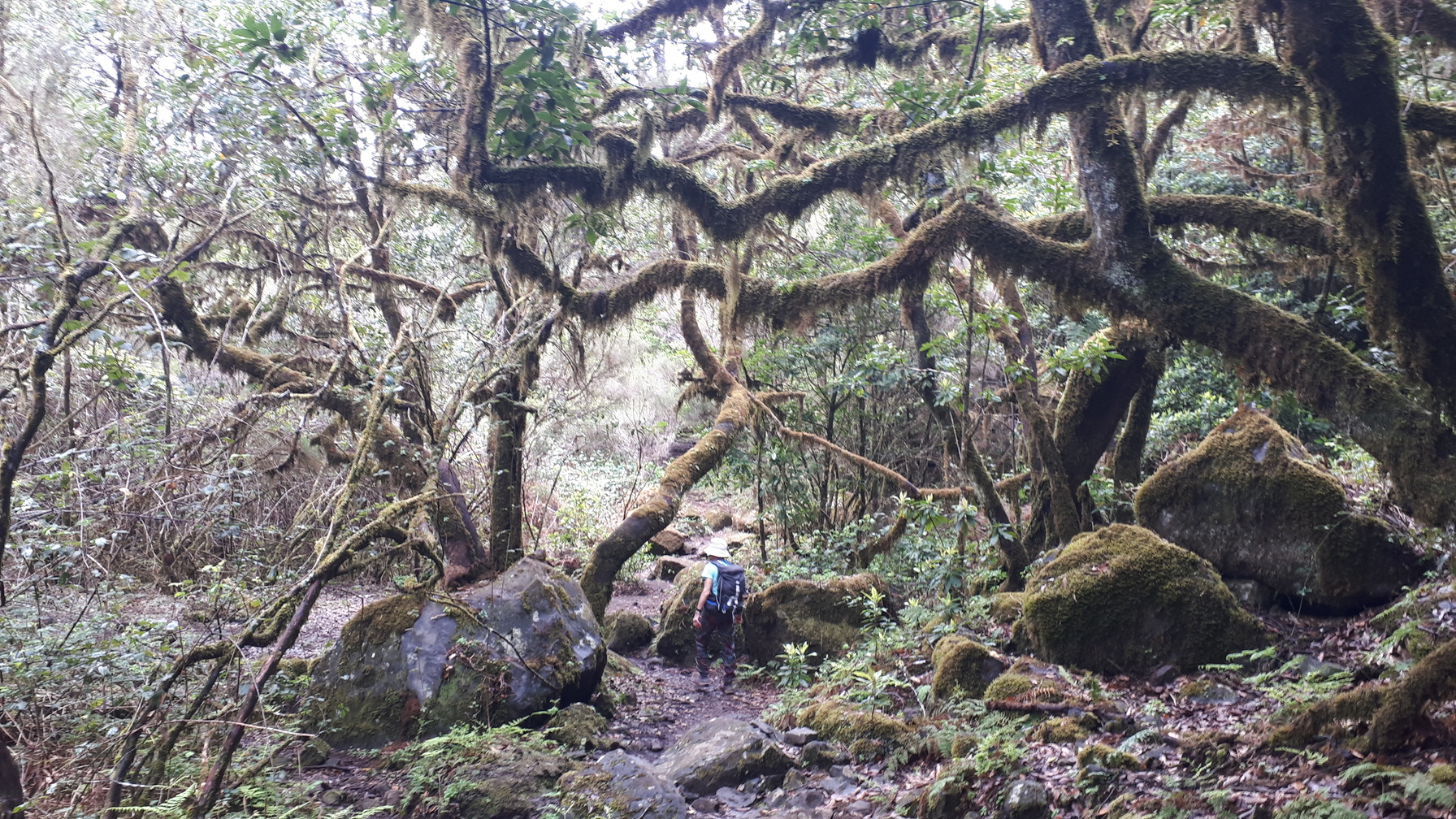 Trail madere - L'intégrale de Madère : trail en liberté - Trail ...