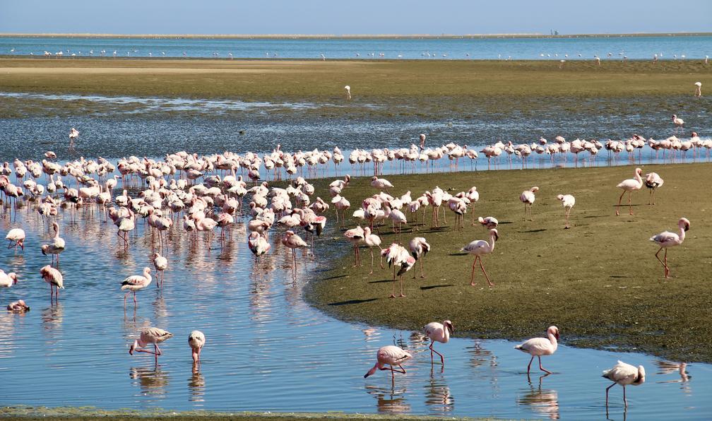 Circuit namibie botswana - Les joyaux de l'Afrique australe ...