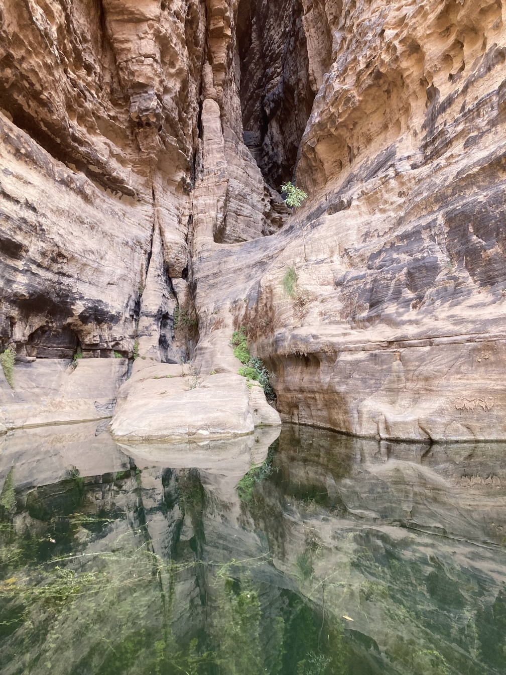 Trek désert algérien de dider à essendilène - Canyons dérobés entre ...