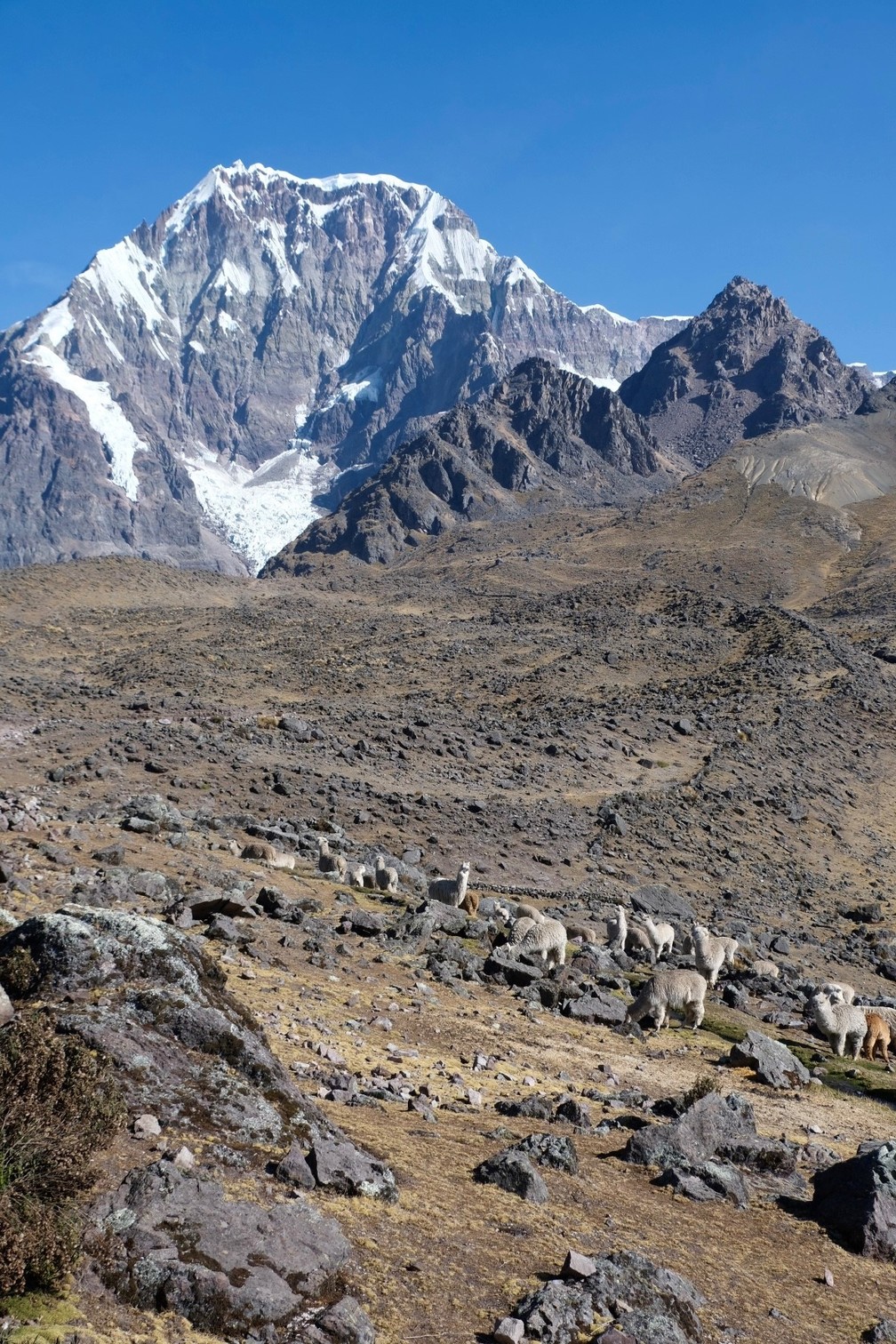 Trekking les incontournables du pérou - Panoramas Andins - Trekking ...