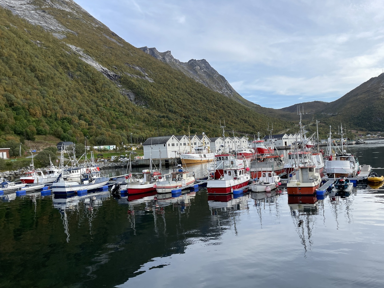 Randonnée senja lyngen - Automne boréal : Senja et les Alpes de Lyngen ...